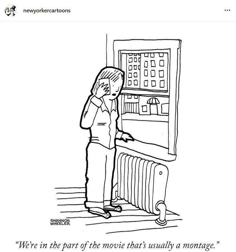 Sheltering in Place – Jody Bower writes